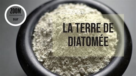 Terre de diatomée un insecticide naturel qui cache bien d autres vertus