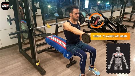 Seated Alternating Dumbbell Front Raise Mid Delt Version Futuregym