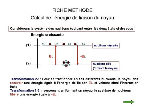 La Structure Du Noyau De Latome Le Noyau
