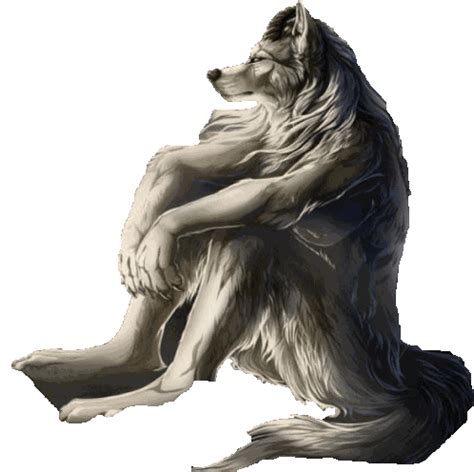 Lobo Solitario Wolf Sitting Meme Emo Wolf Lobos Con Frases