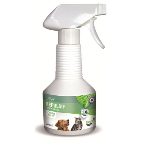Découvrez ces 6 répulsifs naturels pour chat CAT APART