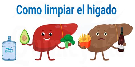 Ofertas Quimey Ko Como Limpiar El Higado