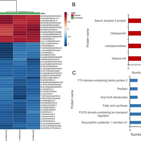Hierarchical K Means Clustering Of Top 50 Significantly Different