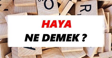 Haya Ne Demek TDKya Göre Haya Sözlük Anlamı Nedir Tdk Anlamı Haberleri