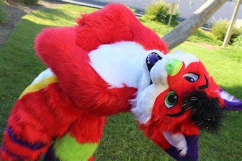Majira Strawberry Wiki Furry Amino