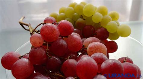 Quantas Calorias Tem 100g De Uva Roxa RETOEDU