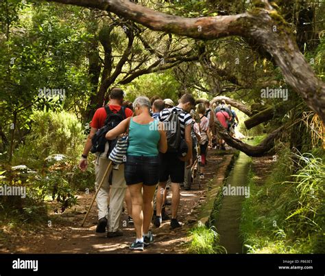 People Walking On The Network Of Levadas Water Channels Which Cross