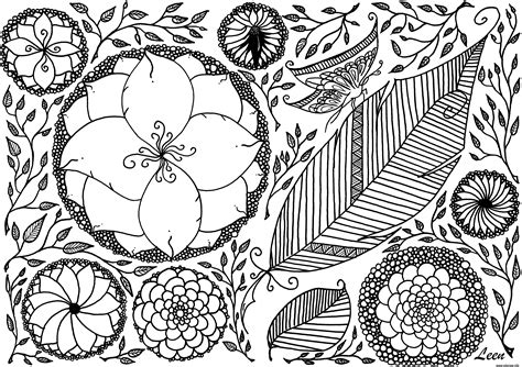 Coloriage Printemps Fleurs Papillon Roses Adulte Zen Dessin