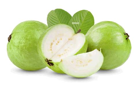 15 Manfaat Jambu Kristal Untuk Kesehatan BAMS