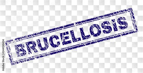 BRUCELLOSIS Stamp Seal Print With Rubber Print Style And Double Framed