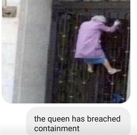 Queen Meme By Okboom Memedroid