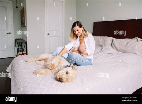 Can A Human Breastfeed A Puppy