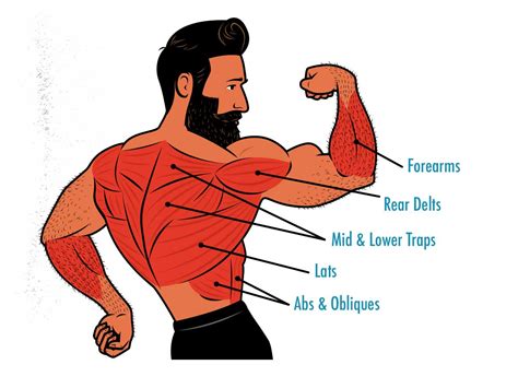 What S The Difference Between Chin Ups Vs Pull Ups Which Are Better