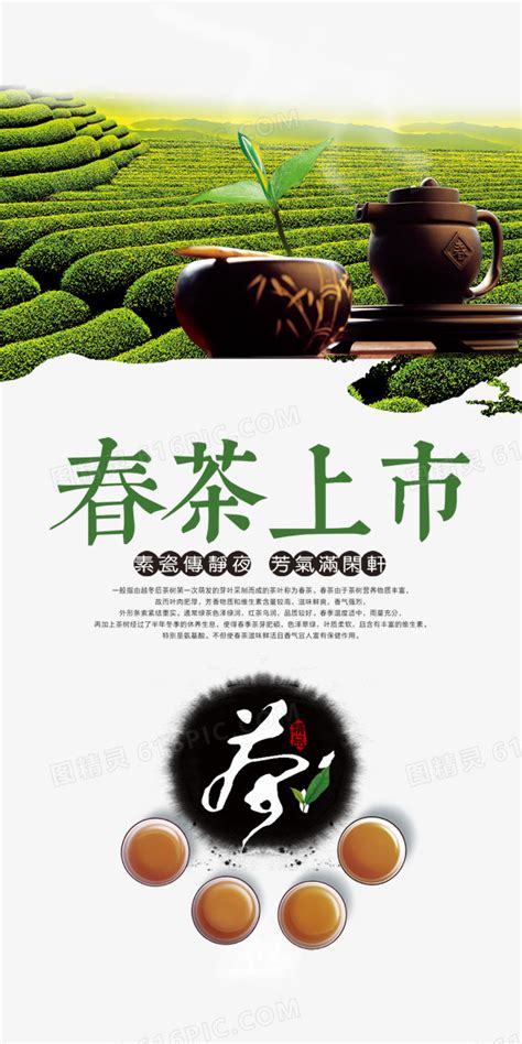 新茶上市 春茶海报图片图片免费下载 PNG素材 编号vr7iwo25y 图精灵