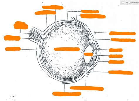 Eye Diagram Part 1 Diagram Quizlet