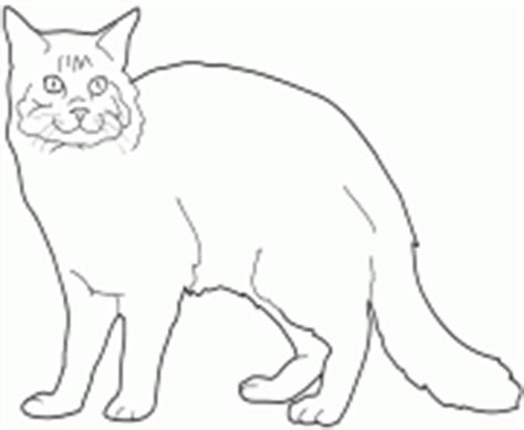 Coloriage Chat Facile Mignon JeColorie