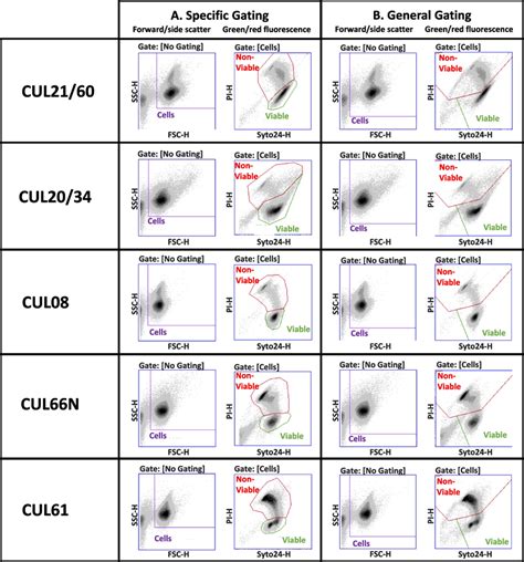 Specific And General Flow Cytometric Gating Strategies Representative