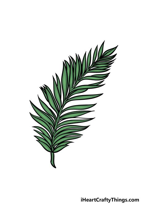 Palm Leaf Drawing How To Draw A Palm Leaf Step By Step 2023