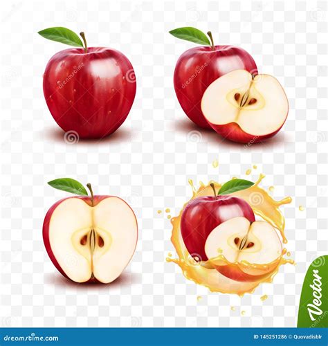 3d Realistic Transparent Isolated Vector Set Whole And Slice Of Apple