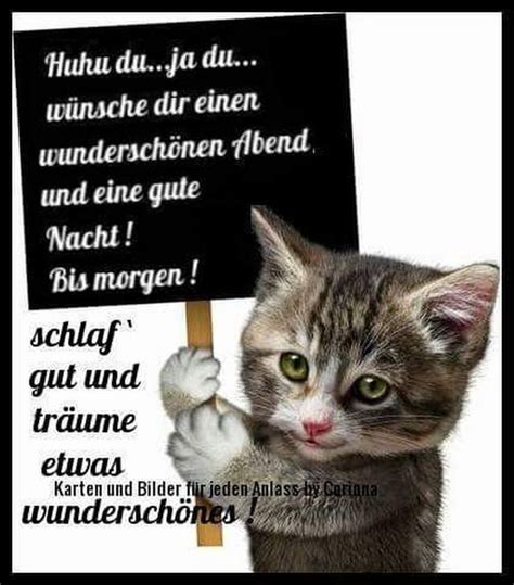 Pin von B u00E4rbel Brunner auf Träumerei Gute nacht kuss lustig