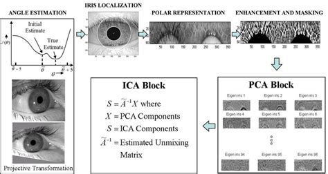 3 a schematic of a non ideal iris based recognition system which deals download scientific