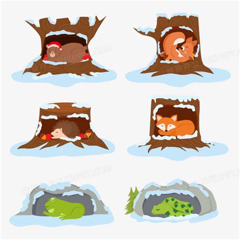 一组手绘矢量冬季下雪冬眠的动物四草PNG图片素材下载 矢量PNG 熊猫办公