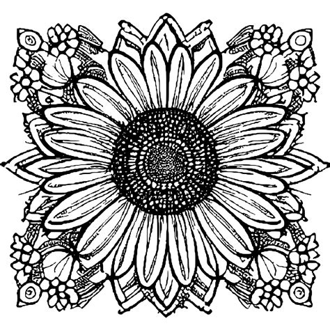 Daisies Coloring Page Creative Fabrica