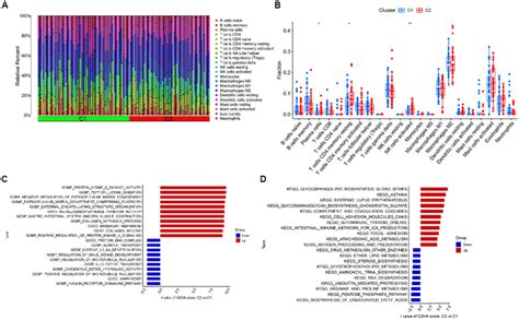 Immune Cell Infiltration Analysis And GSVA Analysis After Clustering