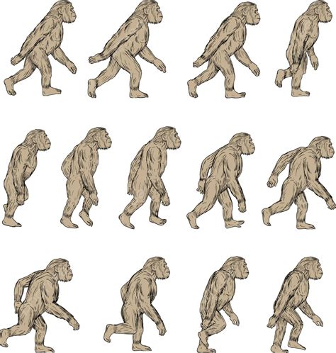 Homo Habilis Walking Cycle Collection Set Walk Handmade Set Vector