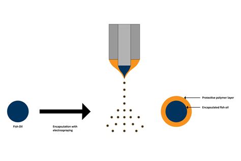 Exploring The Diverse Applications Of Electrospraying Nanoscience