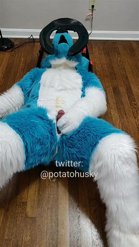 Fursuiter Under Rim Chair Pisses On Himself