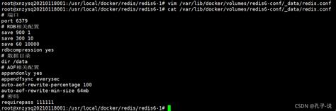 docker教程 4 redis容器的安装配置使用 docker redis配置文件路径 csdn博客