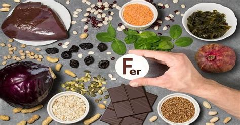Quels sont les aliments riches en fer contre l anémie Sport et Santé