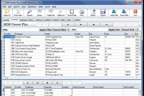 mdb accdb viewer plus view access database files
