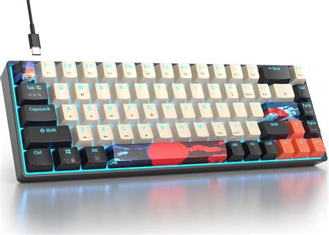 Amazon Fogruaden RGB Wired 60 Percent Keyboard Mechanical 68