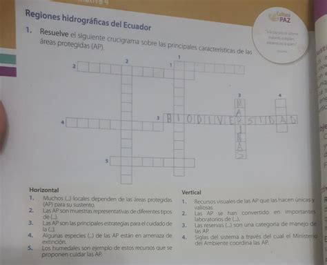Resuelve El Siguiente Crucigrama Sobre Las Principales Caracteristicas