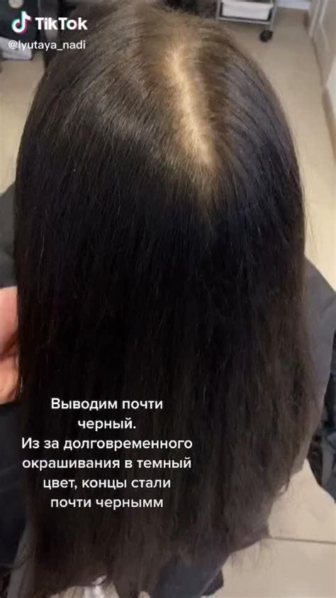 Окрашивание волос на темные волосы тренды 2024 Video in 2024 Hair