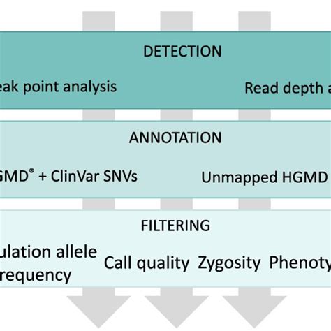 structural variant annotation on variant and gene level as presented in download scientific