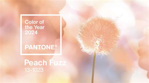 Pantone Colour Of The Year 2024 Peach Fuzz Aussie Soap Supplies Blog