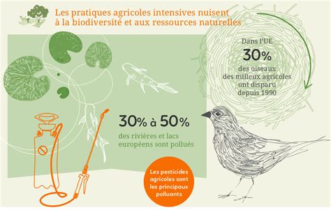 Les Pratiques Agricoles Intensives Nuisent La Biodiversit Centre