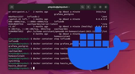 Stopping A Docker Container Pi My Life Up
