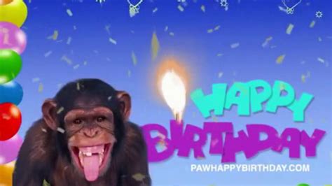 Happy Birthday Monkey Greeting Card YouTube