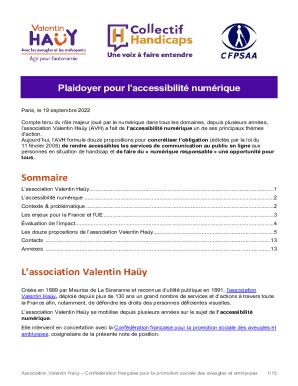 Remplissable En Ligne Association Valentin Hay Comit Paris Le De France