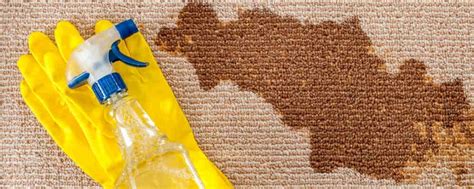 15 Best Carpet Cleaning Hacks To Remove Stains Businesseek