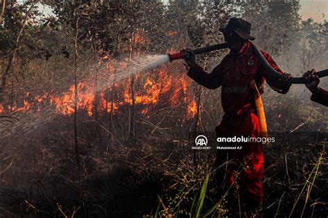Kebakaran hutan gambut di Ogan Ilir Sumsel Anadolu Ajansı