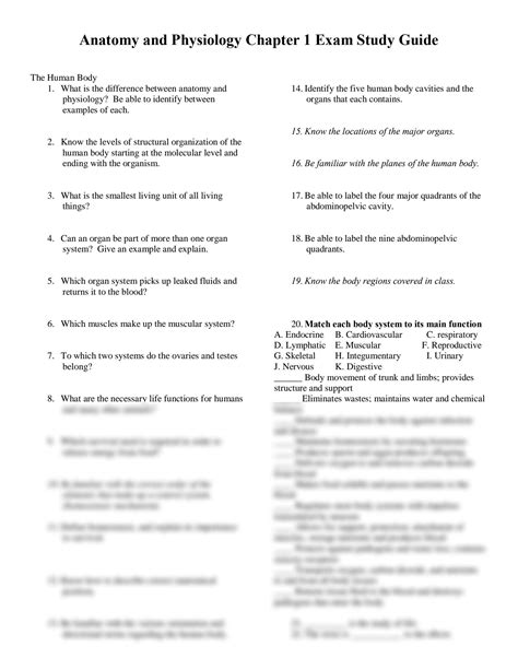 Solution Anatomy And Physiology Chapter Exam Study Guide Studypool