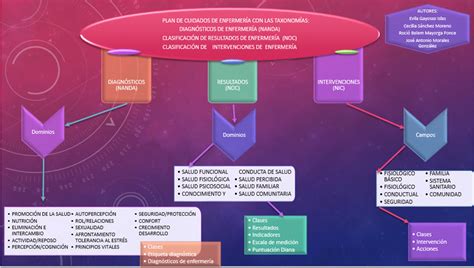 Diagnosticos De Enfermeria Nanda Nic Noc Libro Leer Un Libro