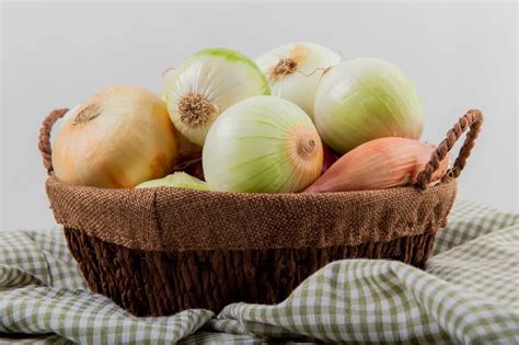 Comment Conserver Loignon Plus Longtemps Le Guide Complet