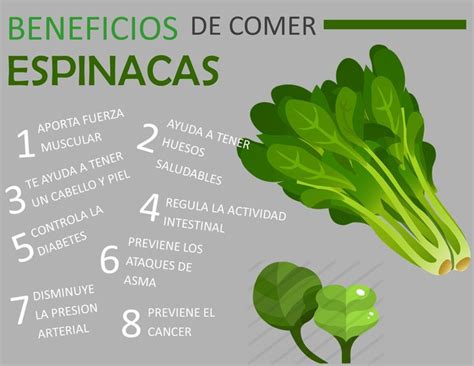 Beneficios De Comer Espinacas Beneficios De La Fruta Frutas Y