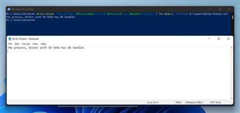 powershell write host explained